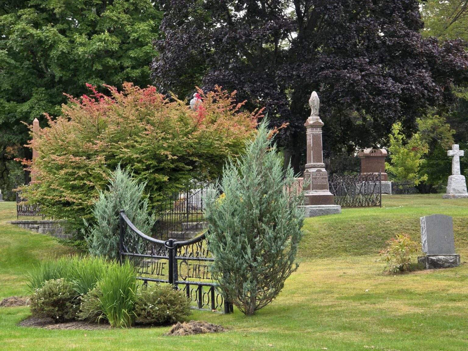 Assist in tracing and recording Aylmer’s origins at Bellevue Cemetery